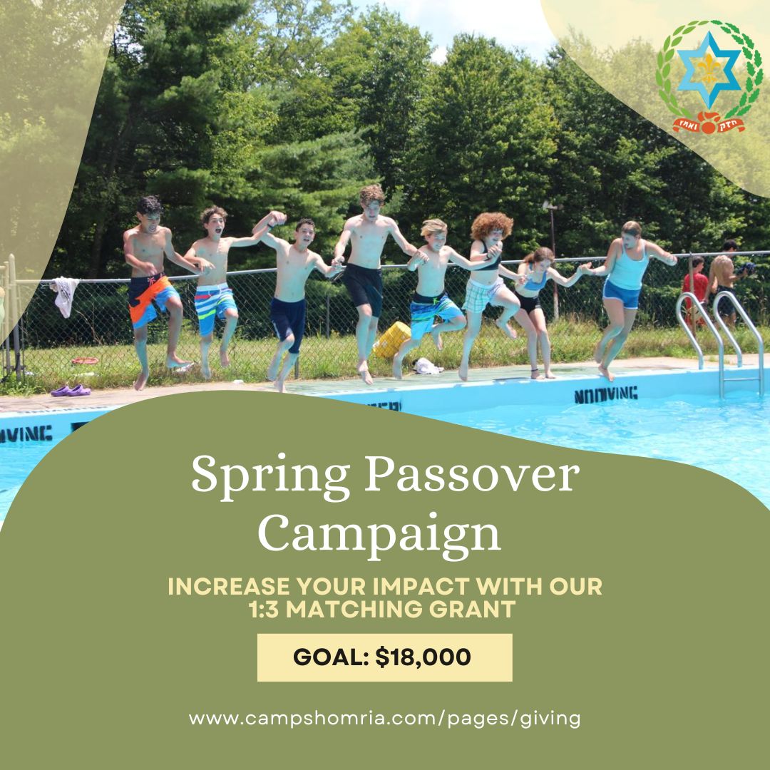 Announcing our Spring Passover Campaign – campshomria