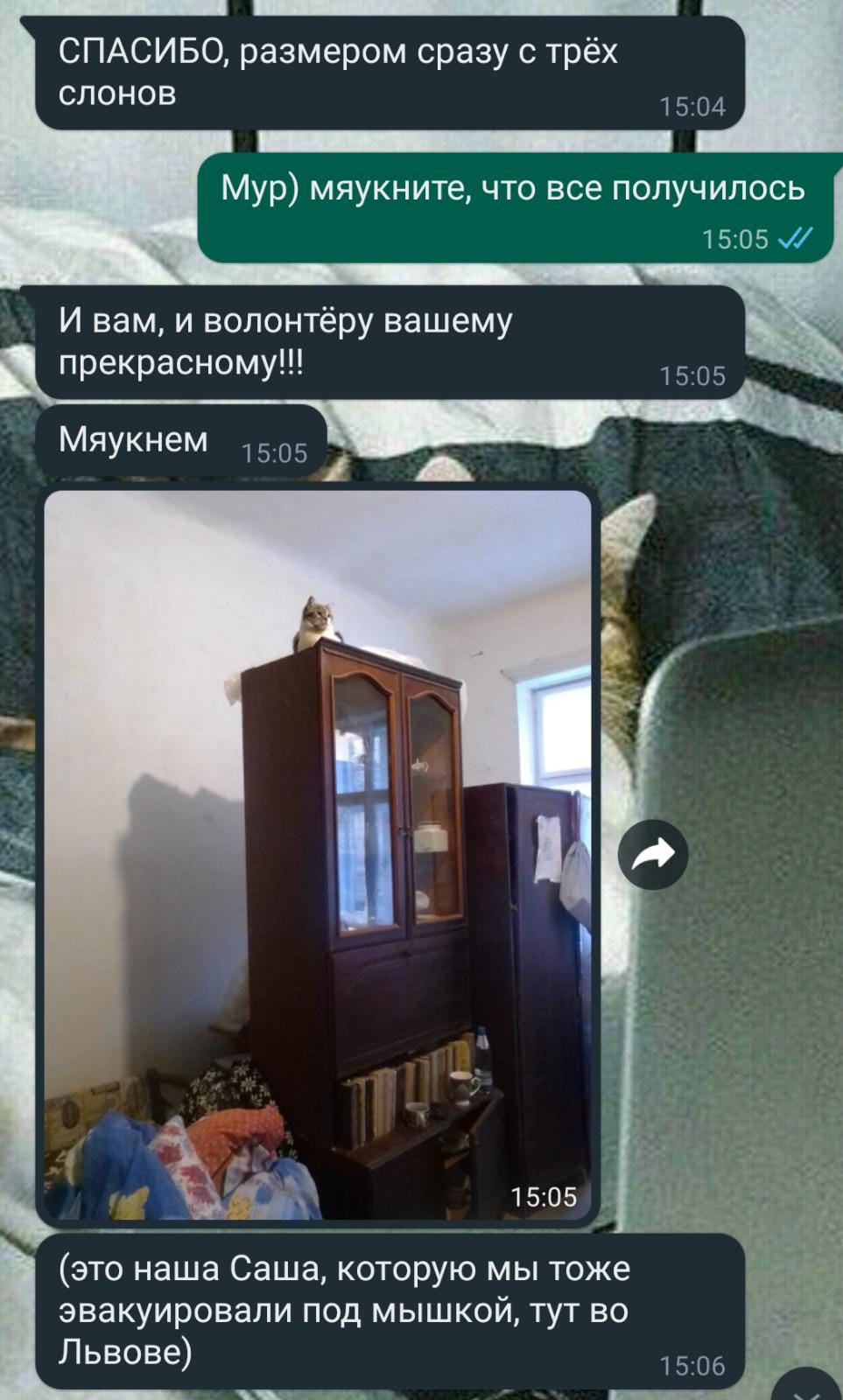 Anna our Russian speaking countries desk coordinator shares what she i ...